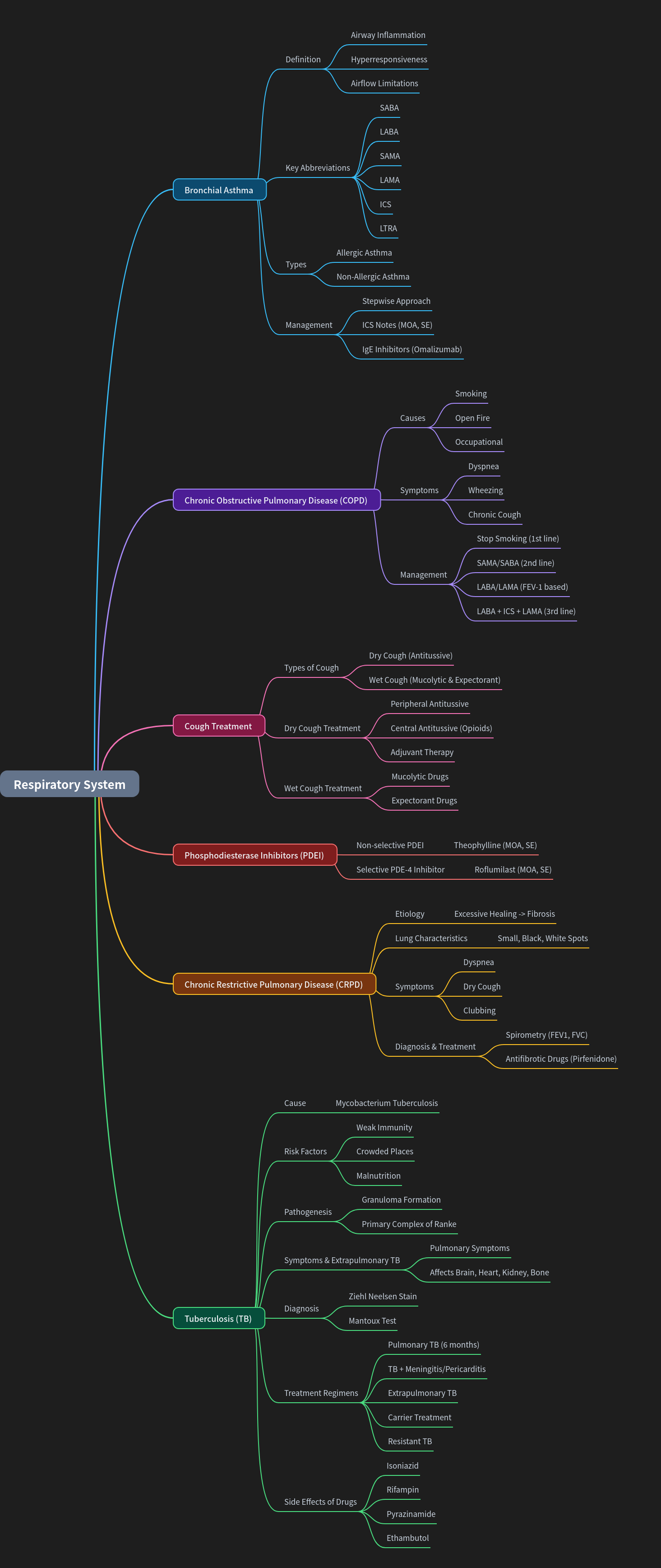 Understanding Respiratory System Diseases